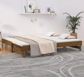 vidaXL Výsuvná postel 2x(100x200) cm masivní borovice [823375] Barva: medová hnědá