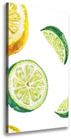 Wallmuralia Vertikální Foto obraz na plátně Limetky a citrony 50x100