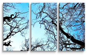 Sablio Obraz - 3-dílný Holé větve - 120x80 cm
