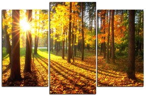 Obraz na plátně - Podzimní les 1176C (120x80 cm)