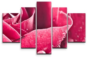 Sablio Obraz - 5-dílný Detail růže - 125x90 cm
