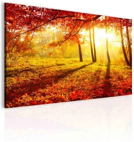 Obraz podzimní krajina Velikost (šířka x výška): 90x60 cm