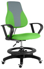 Dětská rostoucí židle ERGODO KIDS Barva: zeleno-šedá
