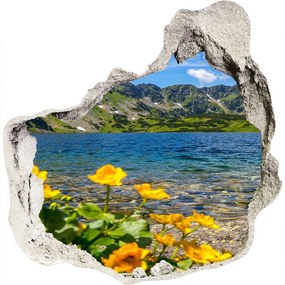 Wallmuralia Díra 3D ve zdi nálepka Jezero v horách 75x75 cm