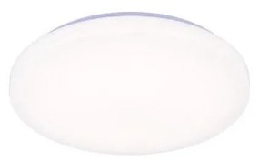 LED Stmívatelné stropní svítidlo s hlasovým ovládáním OPAL LED/48W/230V + DO