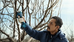 Bosch Pro Pruner Professional 0.601.9K1.020
