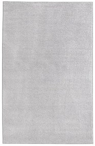 Hanse Home, Kusový koberec Pure 102615 Grey, 80x150, šedá, kancelář
