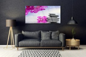 akrylový obraz Květiny Kameny Rostlina 120x60 cm