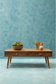 Konferenční stolek v tmavě přírodní barvě 59x110 cm Frida – Premier Housewares