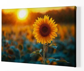 Obraz na plátně - Slunečnice v krásném západu slunce FeelHappy.cz Velikost obrazu: 210 x 140 cm