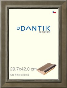 DANTIK rámeček 29,7x42 | Oro Fino stříbrná (Plexi Čiré)