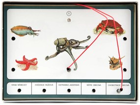 SVOBODA VOLTÍK Hra Zvířata světa elektronická vědomostní na baterie Světlo sv65009