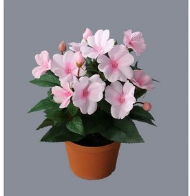 Umělá Fialka v květináči růžová, 24 cm