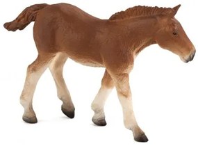 Mojo Suffolk Punch hříbě