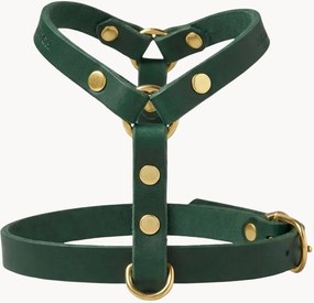 Kožený postroj pro psa Y-Harness, v různých velikostech