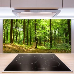Kuchyňský skleněný panel Les Příroda 100x50 cm