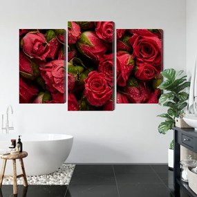 Vícedílný obraz Růže S Kapkami Vody Nedostatek Nedostatek Přírodní plátno 60x40