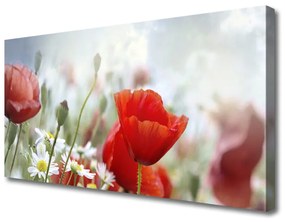 Obraz na plátně Květiny Plátky Rostlina 100x50 cm
