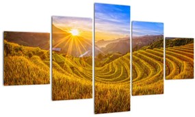 Obraz - Rýžové terasy ve Vietnamu (125x70 cm)