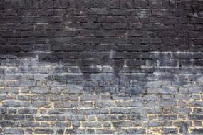 DIMEX | Samolepicí vliesová fototapeta na zeď Mokrá cihlová zeď MA-5-2663 | 375 x 250 cm | bílá, černá