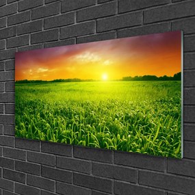 Obraz na skle Obilí Pole Východ Slunce 125x50 cm