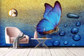 Malvis ® Tapeta Motýl Vel. (šířka x výška): 216 x 140 cm