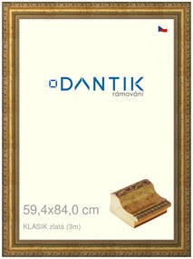 DANTIK rámeček 59,4x84 | KLASIK zlatá (Plexi Čiré)