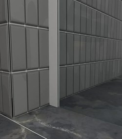 Erga Paris, sprchová zástěna Walk-In 30x200 cm, 8mm šedé sklo, bílý matný profil, ERG-V02-PARIS-030x200-GR-WH