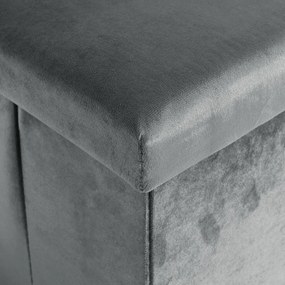 Taburet s úložným prostorem DIEGO XL sametový šedý