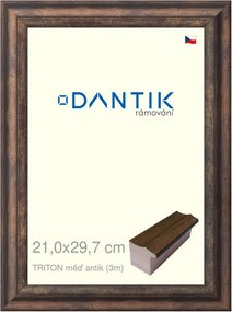 DANTIK rámeček 21x29,7 | TRITON měď antik (Sklo Čiré)