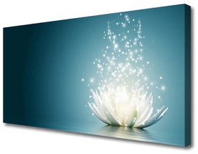 Obraz na plátně Květ Lotosu 100x50 cm