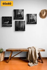 Set obrazů lesní zvířata v černobílém provedení - 4x 60x60 cm