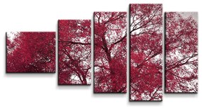 Sablio Obraz - 5-dílný Červený strom - 100x60 cm