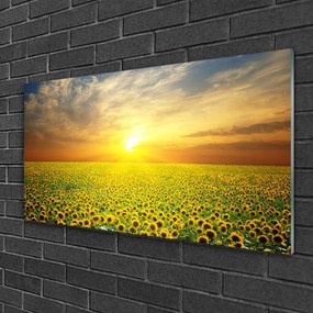 Obraz na skle Slunce Louka Slunečnice 120x60 cm