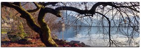 Obraz na plátně - Podzim u jezera - panoráma 5198A (105x35 cm)