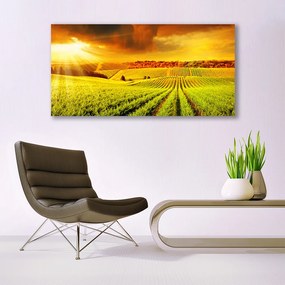 akrylový obraz Pole Západ Slunce Krajina 120x60 cm