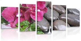 5-dílný obraz kvetoucí orchidej a wellness kameny