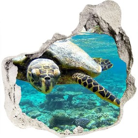 Wallmuralia Díra 3D fototapeta nálepka Mořská želva 75x75 cm
