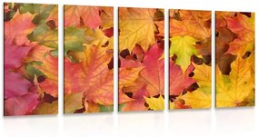 5-dílný obraz listy podzimu - 100x50 cm