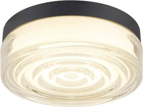 LA 1010211 CYFT WAVE XL Přisazené nástěnné a stropní svítidlo, 2700/3000/4000 K, 15 W, PHASE, 105°, IP65 černá / čirá - BIG WHITE (SLV)