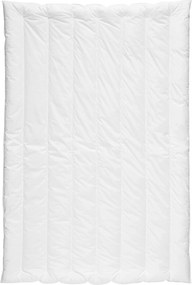 XXXLutz CELOROČNÍ PŘIKRÝVKA, 135/200 cm, polyester Centa-Star - Přikrývky - 003503022201