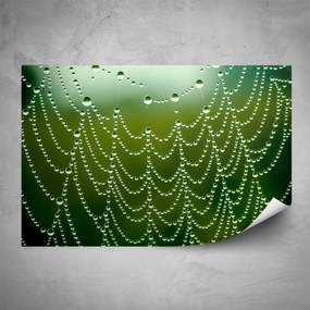 Plakát - Pavučina makro (60x40 cm) - PopyDesign