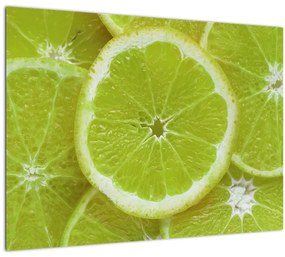 Obraz - citróny na řezu (70x50 cm)