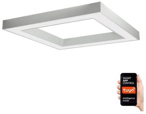Immax NEO 07240L - LED Stmívatelné stropní svítidlo CANTO LED/60W/230V Tuya bílá