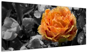 Oranžový květ na černobílém pozadí - obraz (100x40cm)