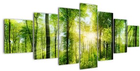 Obraz - Svítání v lese (210x100 cm)