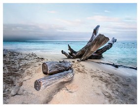 XXXLutz OBRAZ NA SKLE, pláž a moře, 120/80 cm Monee - Skleněné obrazy - 0050900167