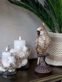 Bronzová dekorace papoušek na podstavci Parroté - 11*10*28 cm