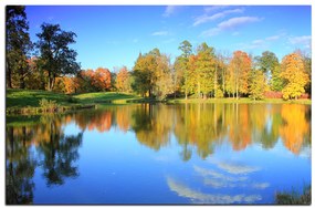 Obraz na plátně - Podzimní park 1175A (100x70 cm)