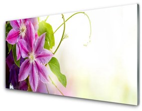 Obraz na skle Květiny Příroda 120x60 cm